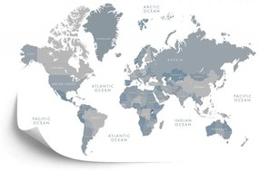 Fototapeta Mapa Světa Omyvatelný vlies 135x90