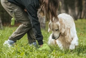 Pouzdro na sáčky pro psy GIZMO s rolkami (20 ks)