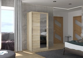 ADRK Furniture Posuvná skříň se zrcadlem BAROS 100 ADRK-SW-BAR-S-100
