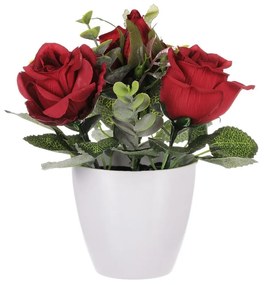 Růžičky v plastovém bílém obalu SG7335 Červená