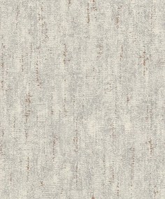 Vliesová tapeta šedá, žíhaná 506914 / Tapety na zeď Aldora IV (0,53 x 10,05 m) Rasch