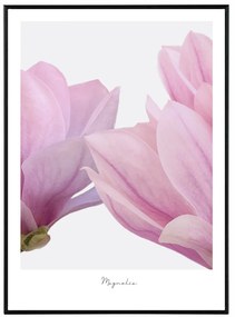 Fancy Magnolia - 30x40 cm Obraz