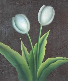 Tulipány bílé - 50 x 60 cm