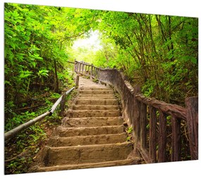 Obraz schodů vedoucích krajinou (70x50 cm)