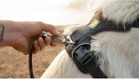 Ruffwear Front Range Postroj pro psy Coastal Mountains - XS