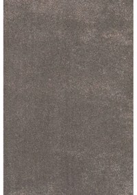 Kusový koberec Toscana 01DDD Varianta: 160x230 cm