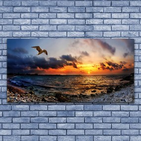 akrylový obraz Racek Moře Pláž Krajina 120x60 cm