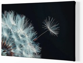 Obraz na plátně - Pampeliška letí dál FeelHappy.cz Velikost obrazu: 40 x 30 cm