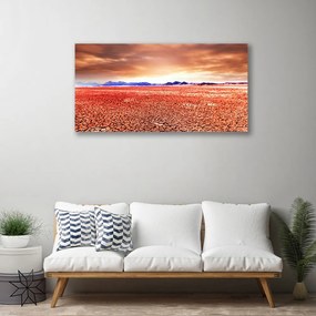 Obraz na plátně Poušť Krajina 120x60 cm