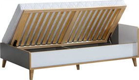 Casarredo - Komfort nábytek Dětská postel NAPOLA 10 s úložným prostorem, antracit/bílá/dub riviera