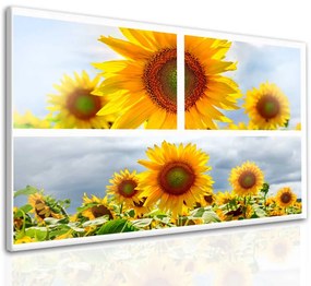 Jednodílný obraz slunečnice Velikost (šířka x výška): 120x90 cm
