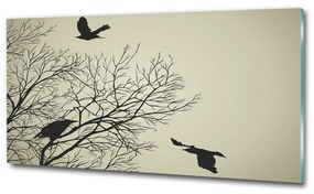 Wallmuralia Moderní skleněný obraz z fotografie Vrány na stromě 100x50