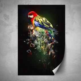 Plakát - Barevný pták (80x120 cm) - PopyDesign