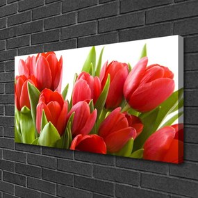 Obraz na plátně Tulipány Květiny Rostlina 140x70 cm