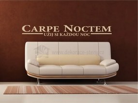 Dekorace na stěny - Carpe Noctem