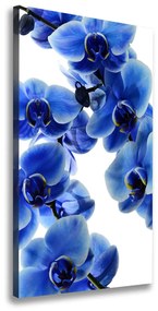 Wallmuralia Vertikální Foto obraz na plátně Modrá orchidej 50x100