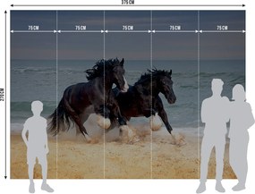 Fototapeta na zed' Cválající Koně | 360 x 254 cm | DFTS1336