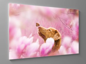 Liox Obraz pes a motýl Rozměr: 150 x 100 cm