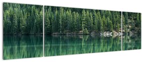 Obraz - Jehličnany u jezera (170x50 cm)