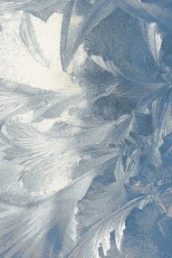 Kusový koberec Lotis světle modrý 240 x 340 cm