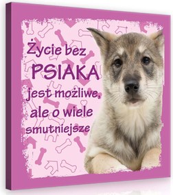Obraz 80x80 Štěňátko pes růžová kost sladké domácí zvíře nápis
