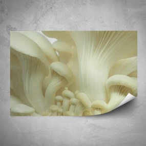 Plakát - Bílé houby detail (60x40 cm) - PopyDesign