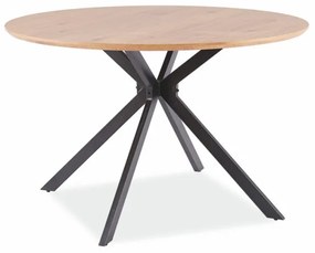 MAXIVA Jídelní stůl - ASTER, 120x120, dýha dub/černá