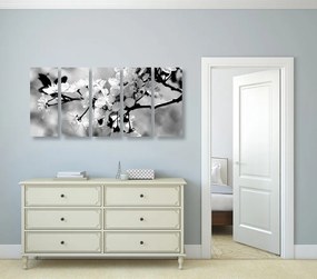 5-dílný obraz třešňový květ v černobílém provedení Varianta: 100x50
