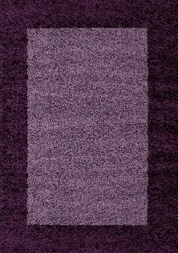 Ayyildiz koberce Kusový koberec Life Shaggy 1503 lila ROZMĚR: 160x230