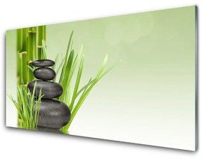 akrylový obraz Bambus Tráva Rostlina Příroda 100x50 cm