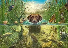 SCHMIDT Puzzle Psí láska: Labrador ve vodě / 1000 dílků / od 12 let