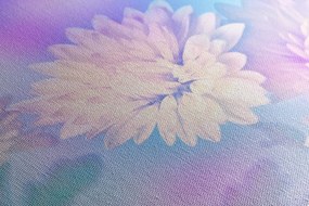 Obraz květ chryzantémy Varianta: 120x80