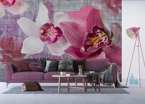 Fototapeta na míru Smyslné Orchideje | Vliesová fototapeta na zed' | DFTNXXL1148