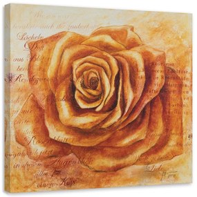 Obraz na plátně Rose Flower Orange - 30x30 cm