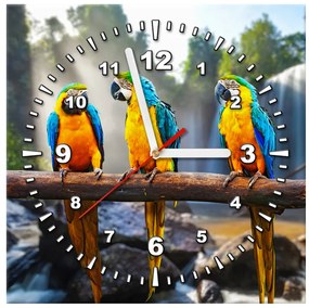 Gario Obraz s hodinami Barevní papoušci Rozměry: 100 x 40 cm