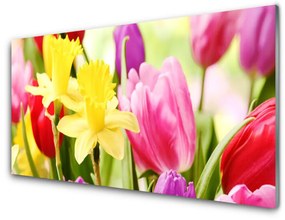 Obraz na skle Květiny Rostlina Příroda 100x50 cm