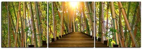 Obraz na plátně - Dřevěná promenáda v bambusovém lese - panoráma 5172B (150x50 cm)