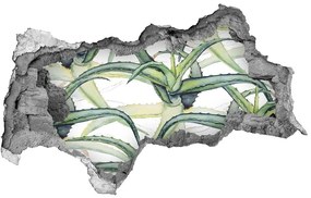 Wallmuralia Fototapeta díra na zeď 3D Aloes 95x73 cm