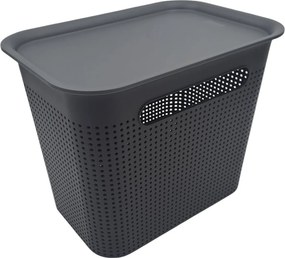 Rotho Úložný box s víkem a s madly BRISEN 7l, 26x18x21cm, černý