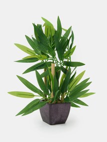 Sinsay - Decorative plant in a pot - zelená