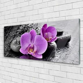 Plexisklo-obraz Orchidej Květiny Kameny Zen 125x50 cm