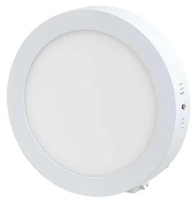LED Stropní svítidlo LED/12W/230V