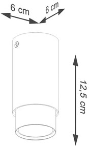 Stropní svítidlo v černo-stříbrné barvě Crown – Sollux
