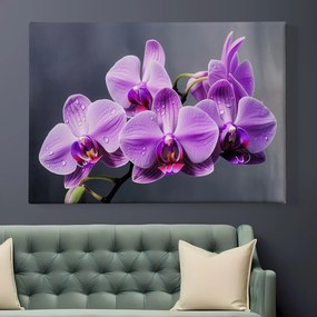 Obraz na plátně - Květ fialová orchidej FeelHappy.cz Velikost obrazu: 120 x 80 cm