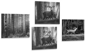 Set obrazů lesní zvířata v černobílém provedení