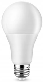 LED žárovka - E27 - A80 - 20W - 1800Lm - studená bílá