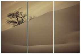 Obraz na plátně - Červené písečné duny 1133FB (135x90 cm)