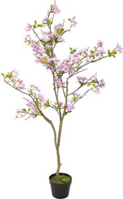 Sakura v květináči 130 cm
