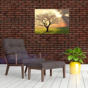 Skleněný obraz stromu na louce (70x50 cm)