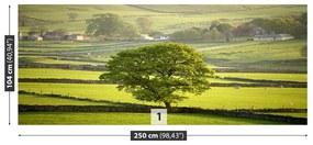 Fototapeta Anglie Derbyshire 104x70